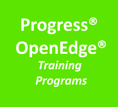 Progress OpenEdge – Competency Development Programs | Raghuraman Kadambi